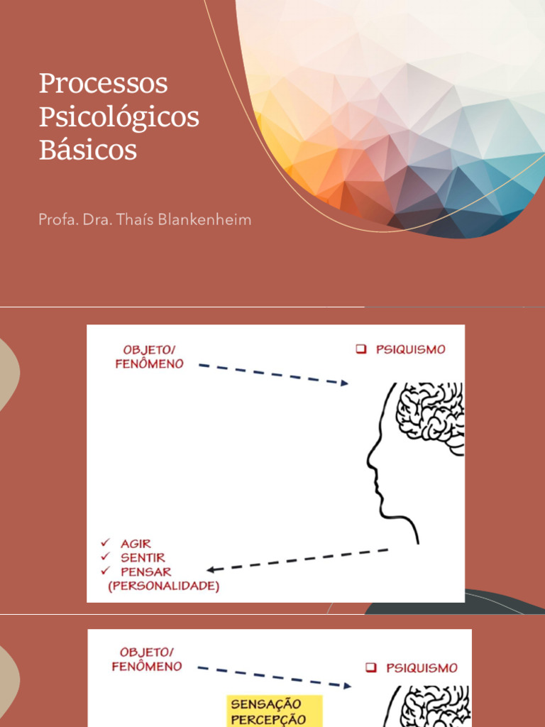 Processos Psicológicos Básicos-2 | PDF