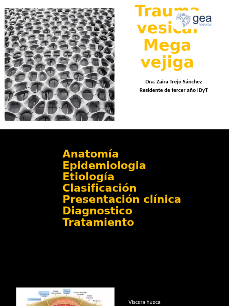 Trauma Vesical Expo | PDF | Peritoneo | Medicina CLINICA