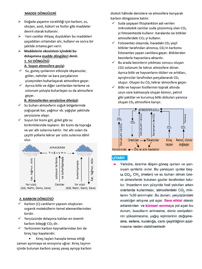 5-MADDE DÖNGÜLERİ | PDF