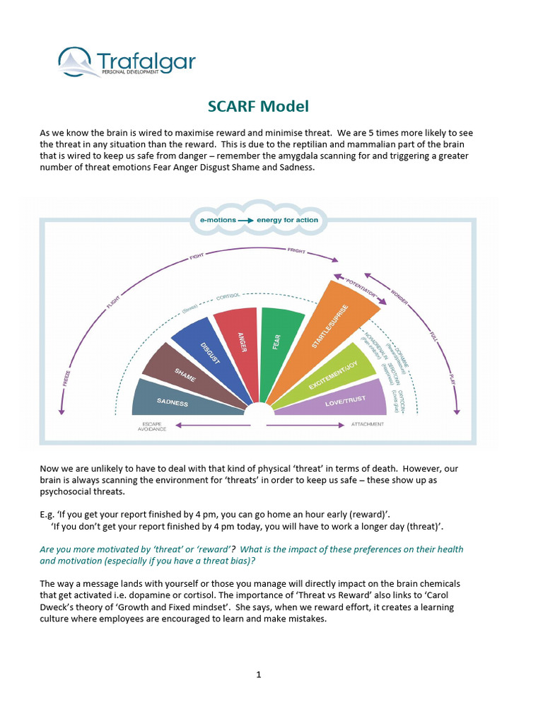 SCARF Rewards and Threats | PDF | Reward System | Autonomy