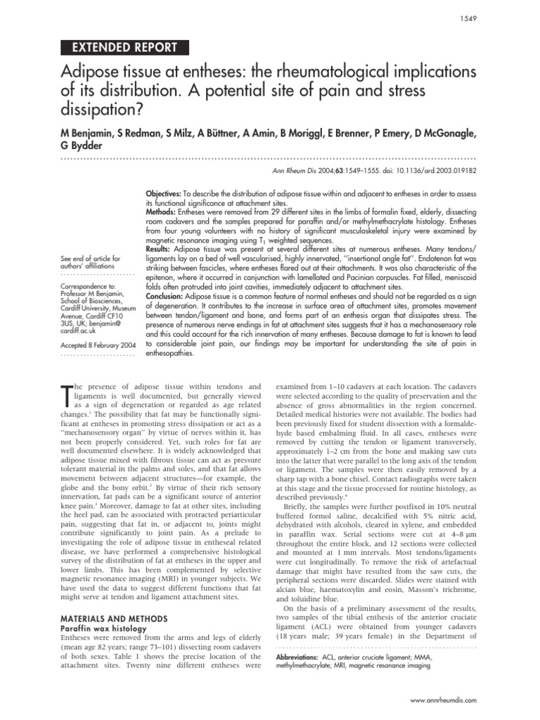Adipose Tissue at Entheses. | PDF | Knee | Musculoskeletal System