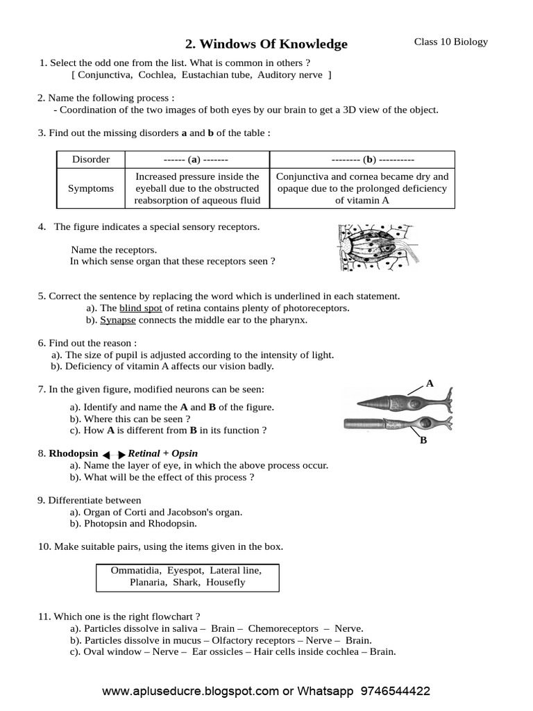 A- Blog- Sslc-biology-model Questions-unit Exams-chapter 02 Em | PDF ...