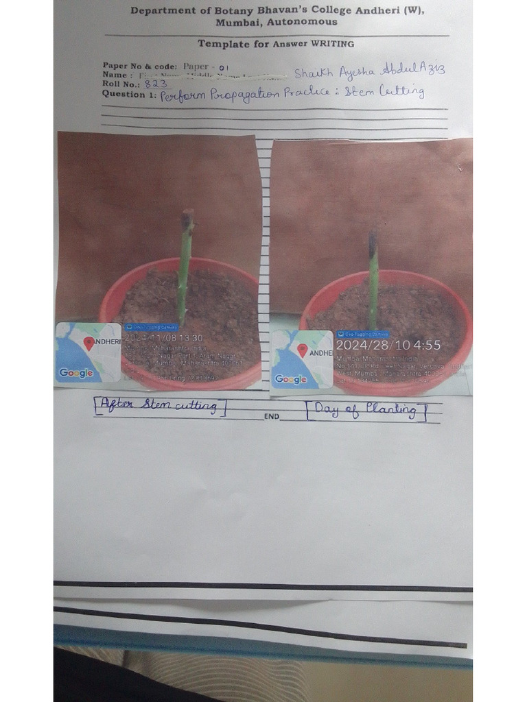 Botany Assignment - 823 | PDF