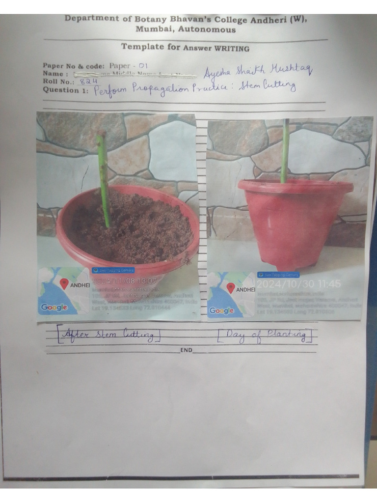 Botany Assignment-824 | PDF