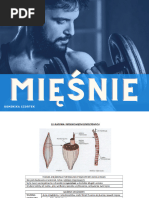 Anatomia Swini Atlas Interaktywny | PDF