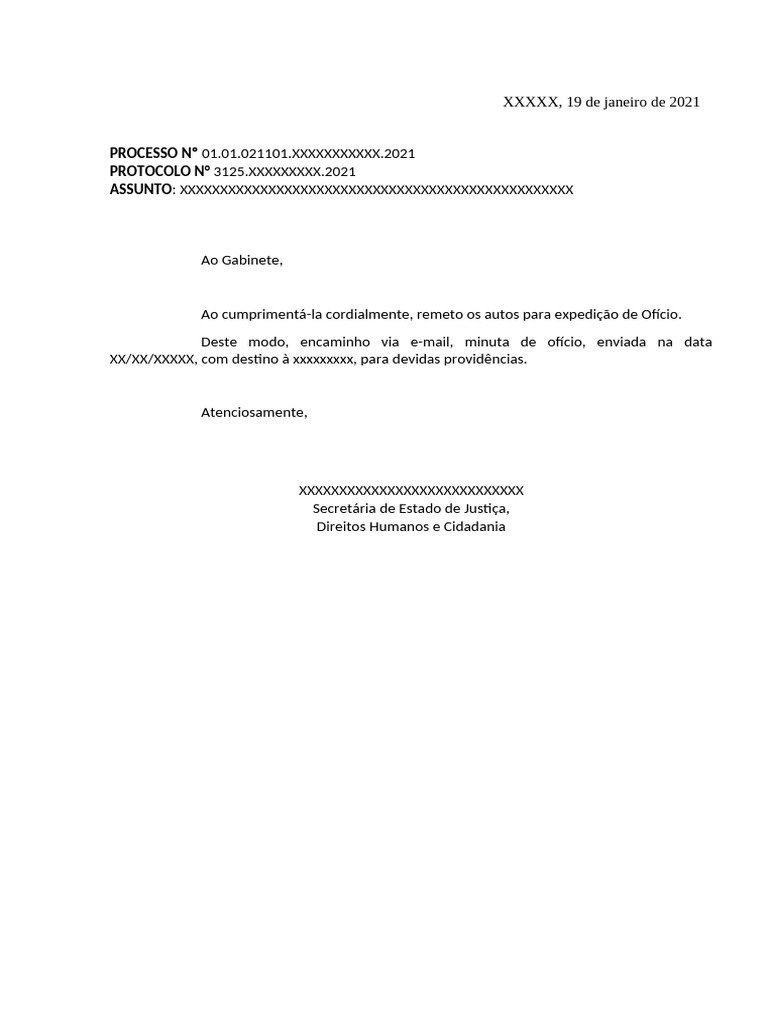 Modelo Despacho - Executivas | PDF