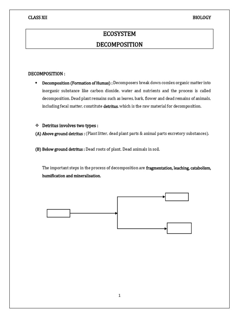 CL-11-Bio-12-Decomposition | PDF | Decomposition | Soil