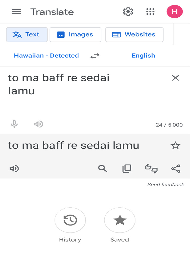 Google Translate | PDF