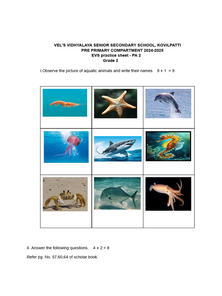 Grade 2 EVS Practice Sheet 2024-2025 | PDF
