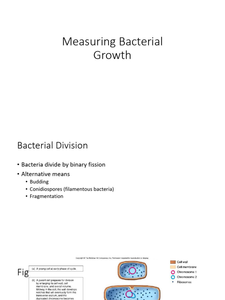 Microbial Growth Kinetics Final | PDF | Metabolism | Mathematical ...