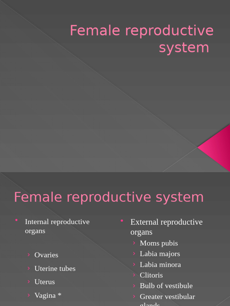 External | PDF | Labia | Animal Anatomy