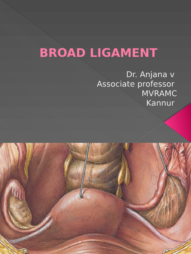 Broad Ligament | PDF