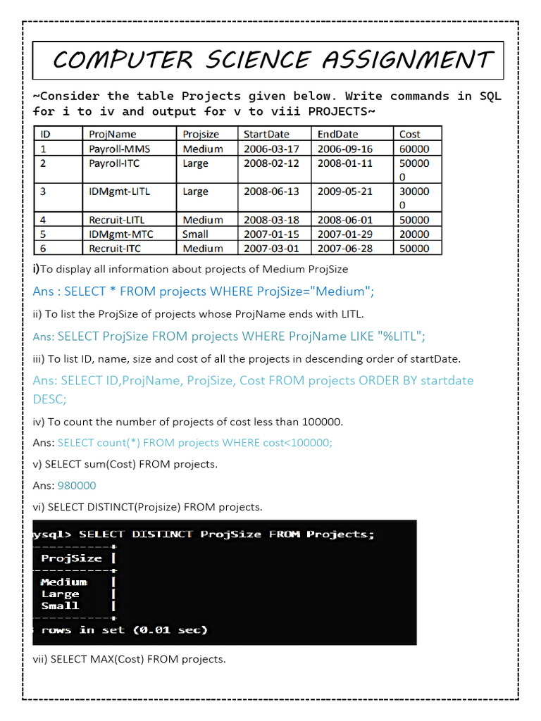 cs 12 assignment | PDF | Sql | Computing