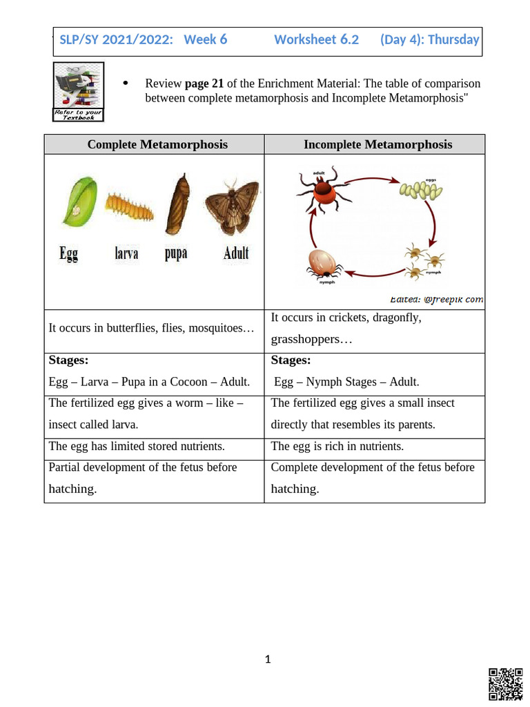 SY21 22 - Gr6 W6 D4 Science Worksheet6.2 1 | PDF | Pupa | Insects And Humans