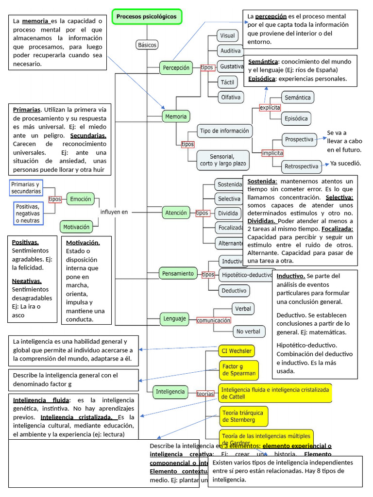 Resumen_procesos psicologicos_basicos | PDF | Inteligencia | Percepción