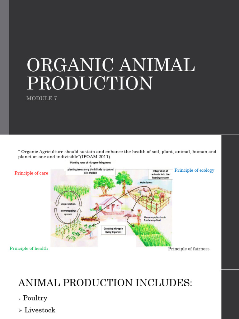 Organic Animal Production Overview | PDF | Organic Farming | Agriculture