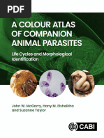 Paramphistomum Cervi: Morphology, Life Cycle, Prevalence, Molecular ...