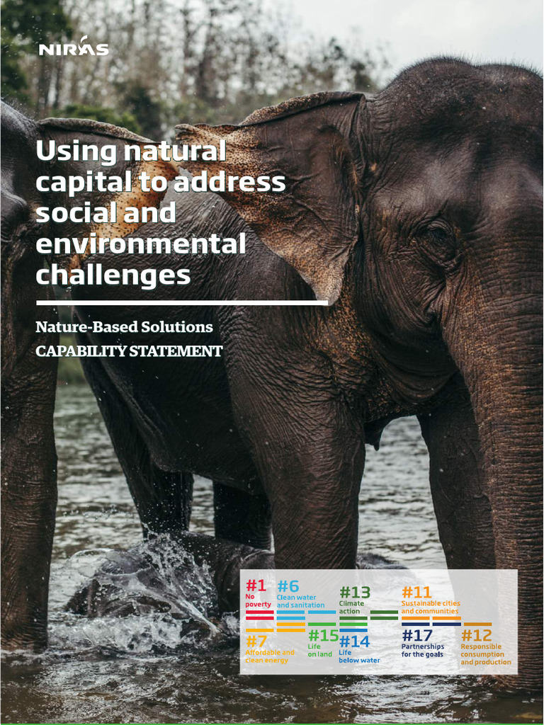 NIRAS: Nature-Based Solutions for SDGs | PDF | Sustainability | Climate ...