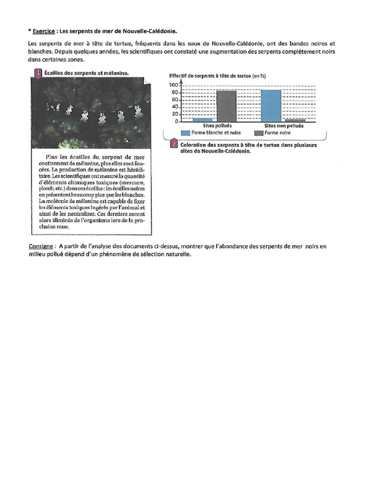 Terminale ES - Exercice - Sélection Naturelle | PDF