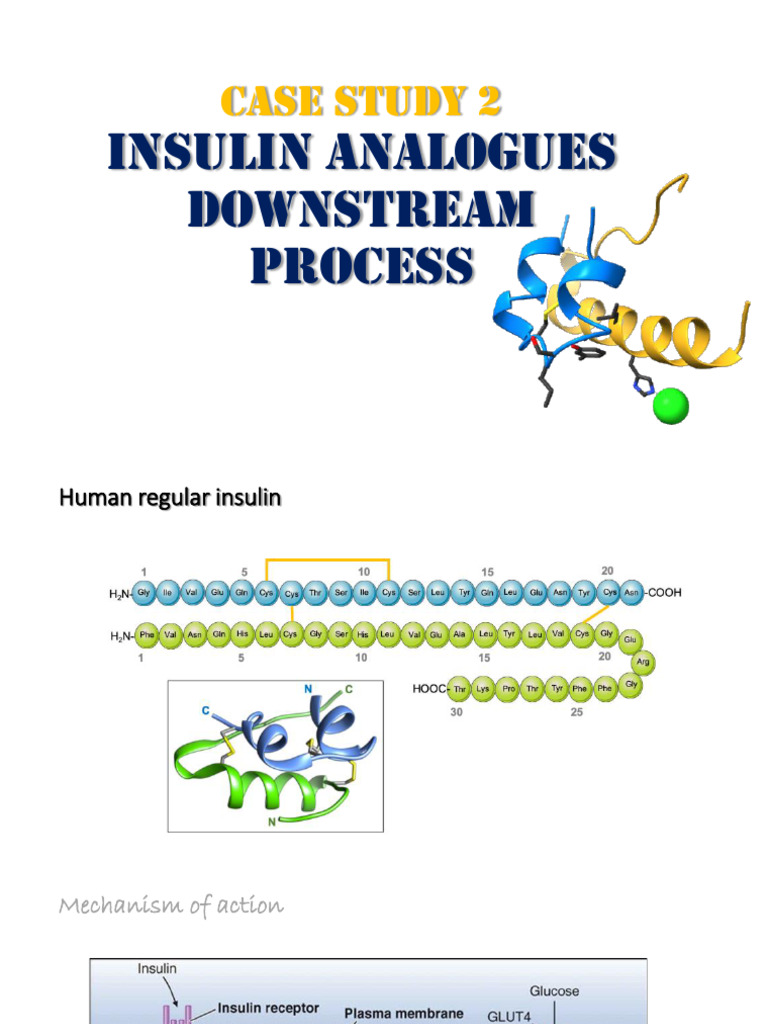 INSULIN | PDF | Insulin | Biochemistry