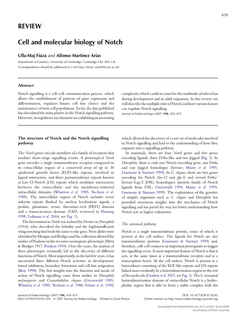 Journal of Endocrinology) Cell and Molecular Biology of Notch | PDF ...