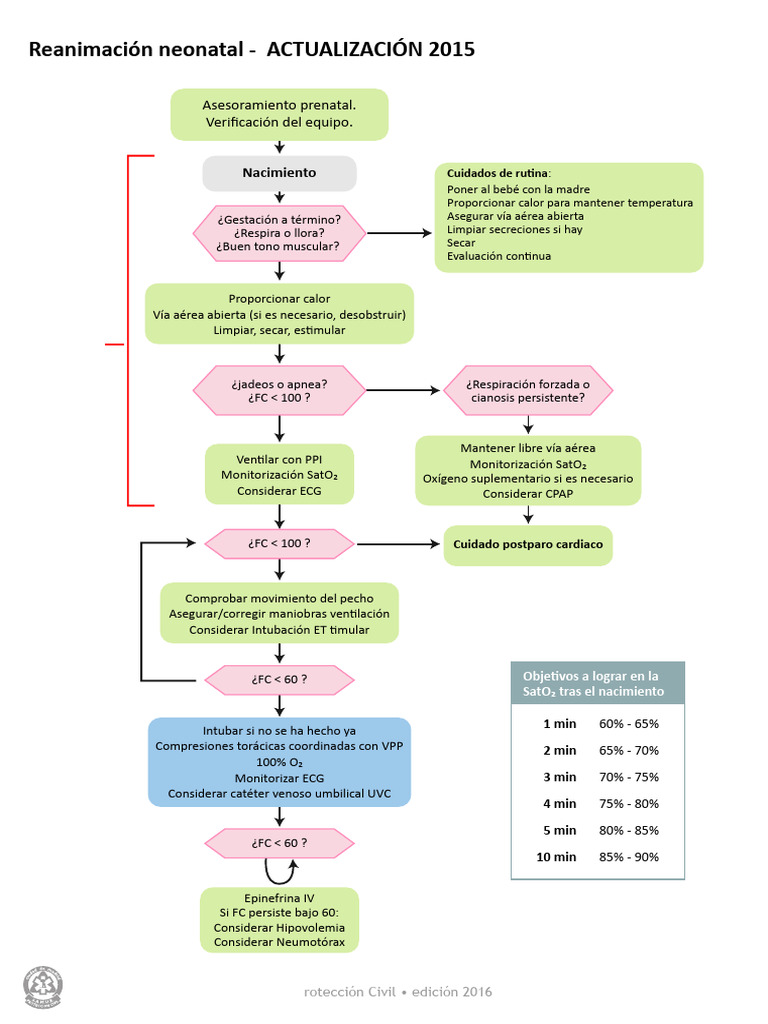 Algoritmo Neonatal | PDF | Medicina CLINICA | Especialidades Medicas