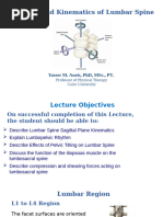 6 - Pelvic Rocking Exercises | PDF | Pelvis | Abdomen