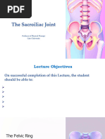SIJ Stability: Form and Force Closure | PDF | Pelvis | Vertebral Column