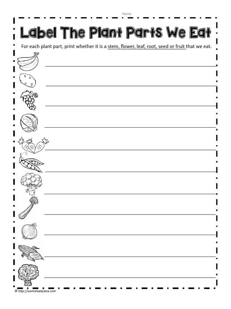 Plant-Parts-We-Eat-Worksheet | PDF