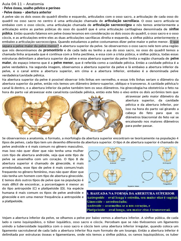 Anatomia da Pelve: Estruturas e Diâmetros | PDF | Pélvis