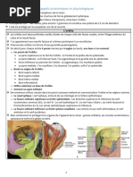 Anatomie du Corps Géniculé Latéral | PDF | Système visuel | Vision