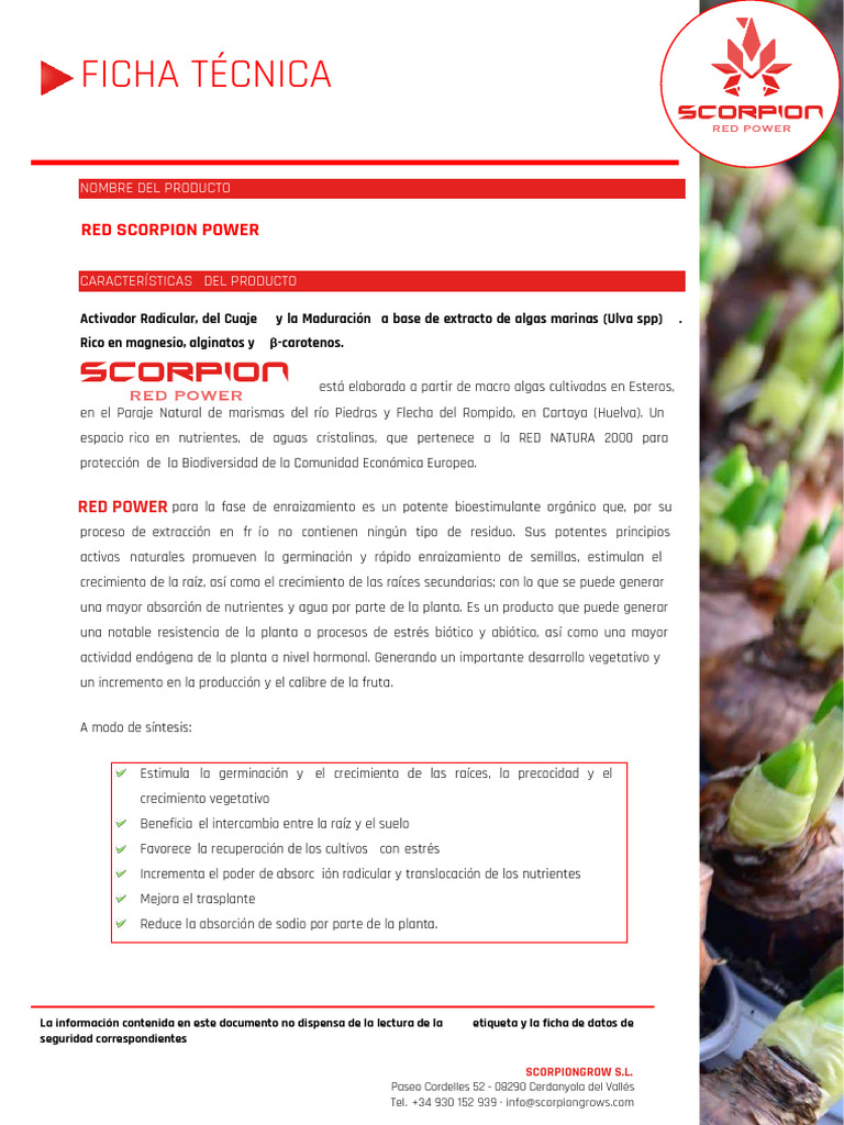 Ficha Tec Redpower | PDF | Raíz | Plantas