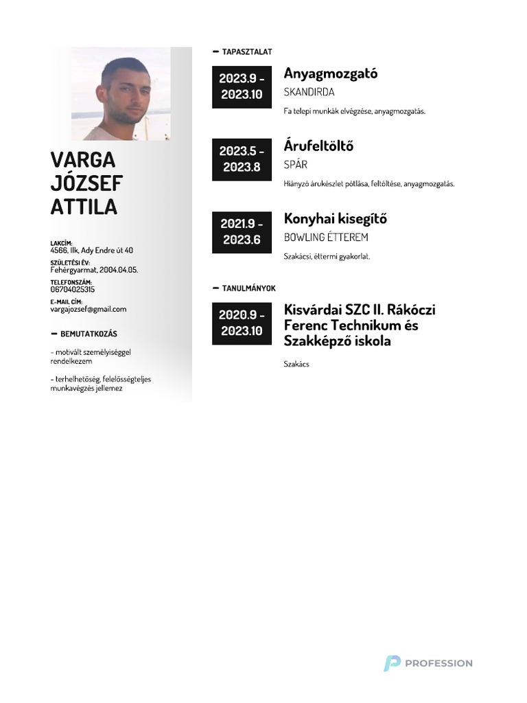 Varga Jozsef Attila CV 20231207101228 | PDF