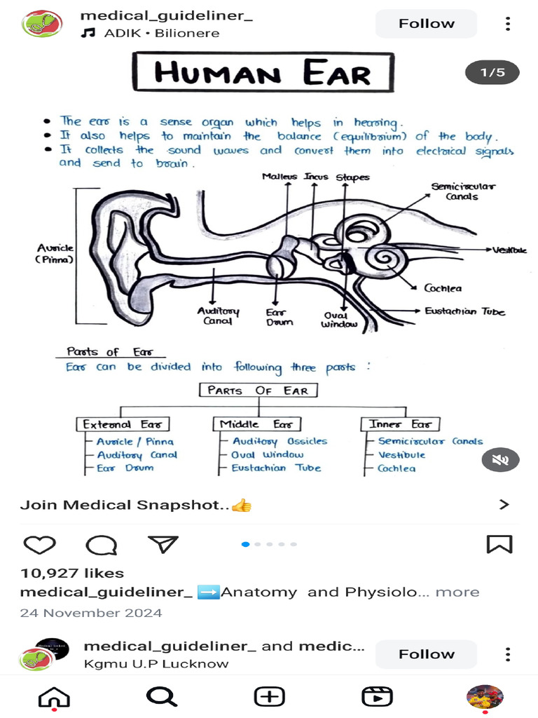 Gallery 20250103 231346 | PDF
