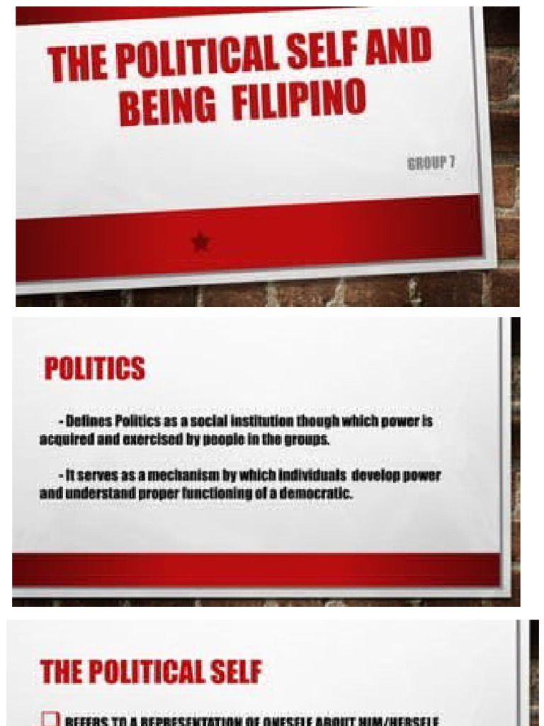 Political Self | PDF