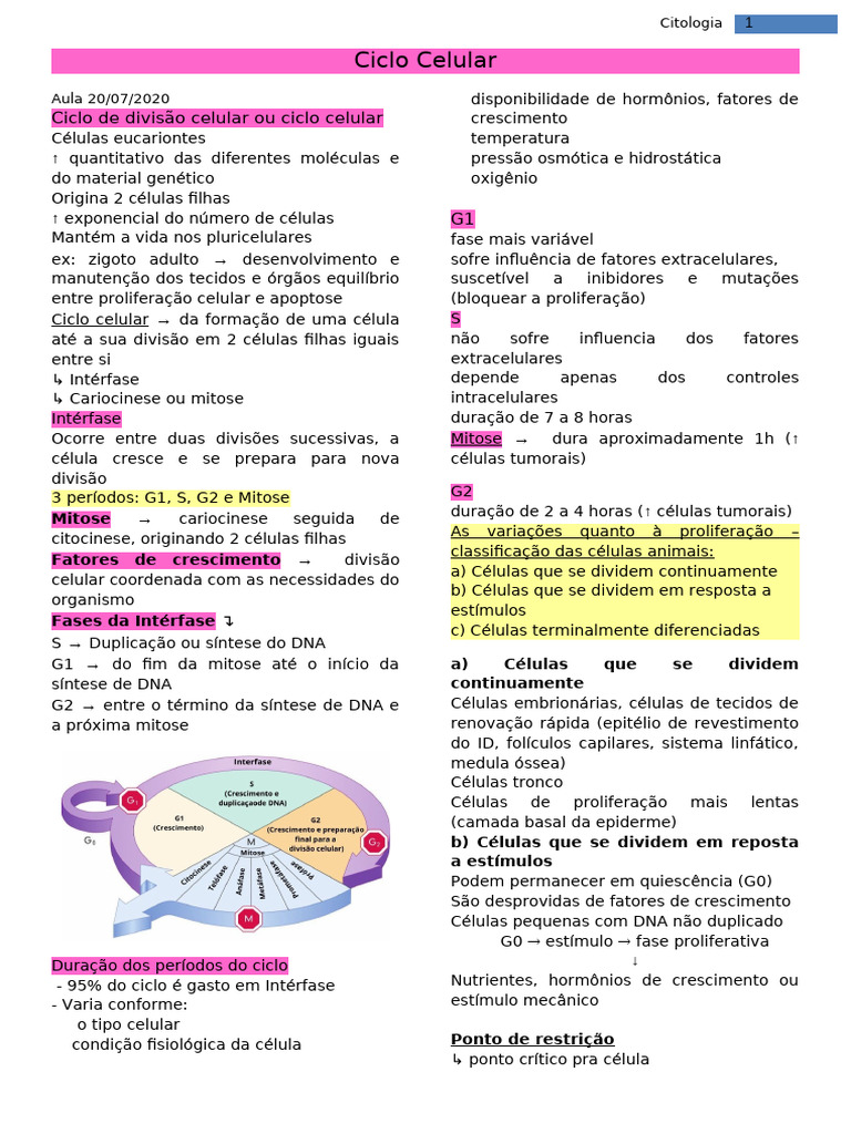 Aula 6 Ciclo Celular Pdf Dna Replicação De Dna