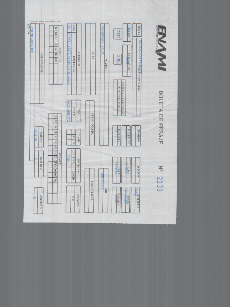 13- Boletas de Pesaje 30-12-24 | PDF