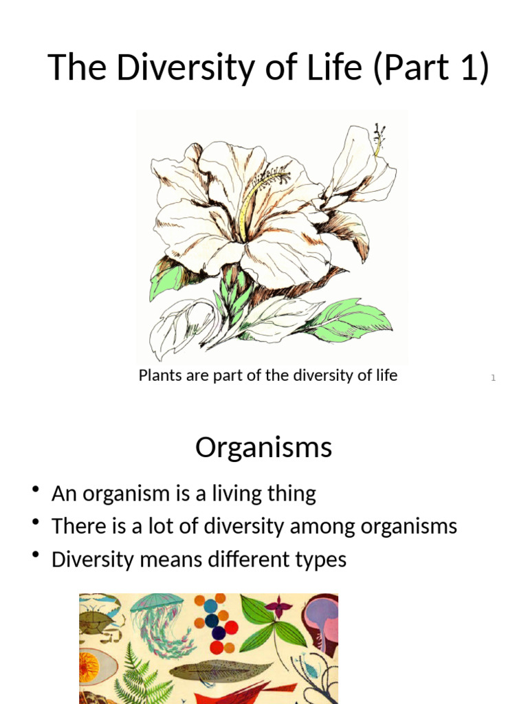 Diversity of Life Part 1 | PDF