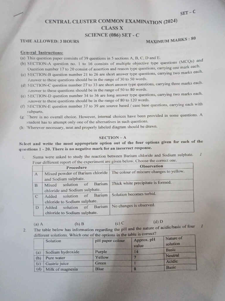 Science Central cluster paper 2024 | PDF