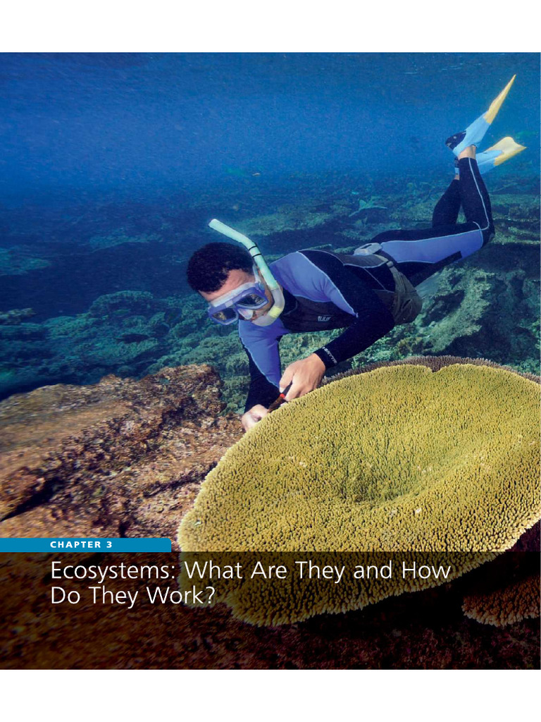 Cap 2 Ecosistemas Que son y como funcionan-1 | PDF