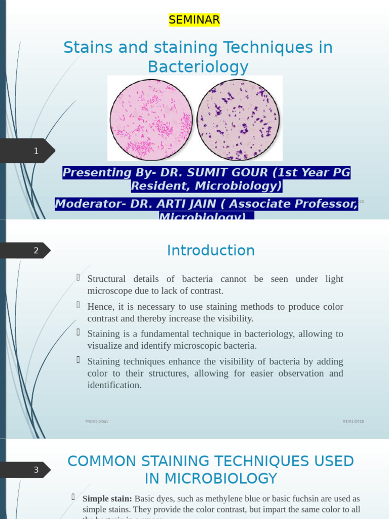 Bacteriology Staining Guide | PDF | Staining | Immunohistochemistry