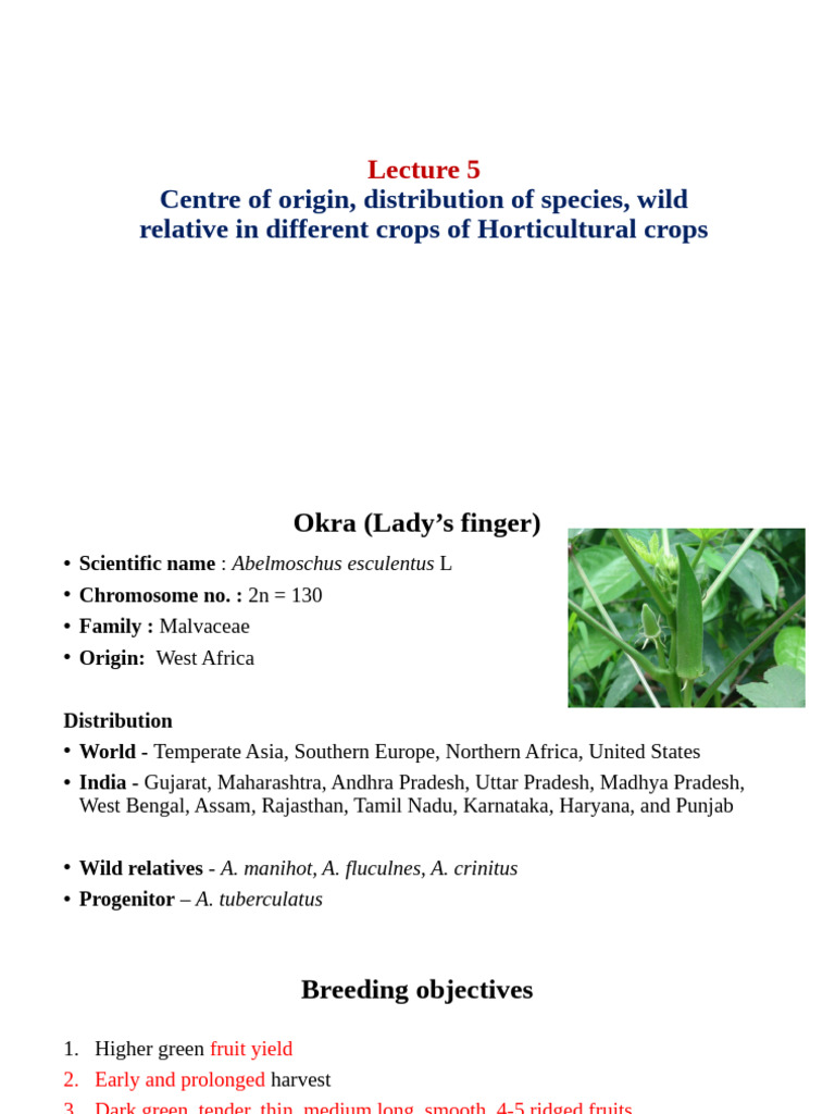 Lecture 5 - Horti Crops | PDF | Plant Breeding | Eggplant