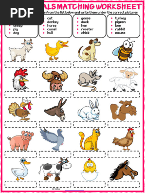 Farm Animals Worksheet Farm Animals Worksheet For Kindergarten 2nd