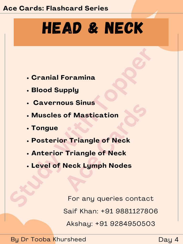Ace Cards Anatomy Head & Neck | PDF