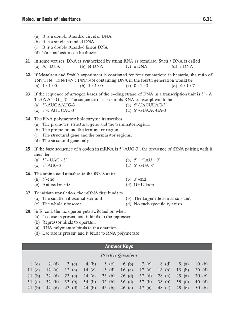 Chapter 6 Molecular Basis of Inheritance-Answer | PDF