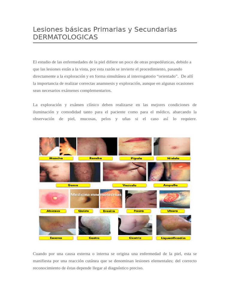 Lesiones Dermicas | PDF | Piel | Epidermis