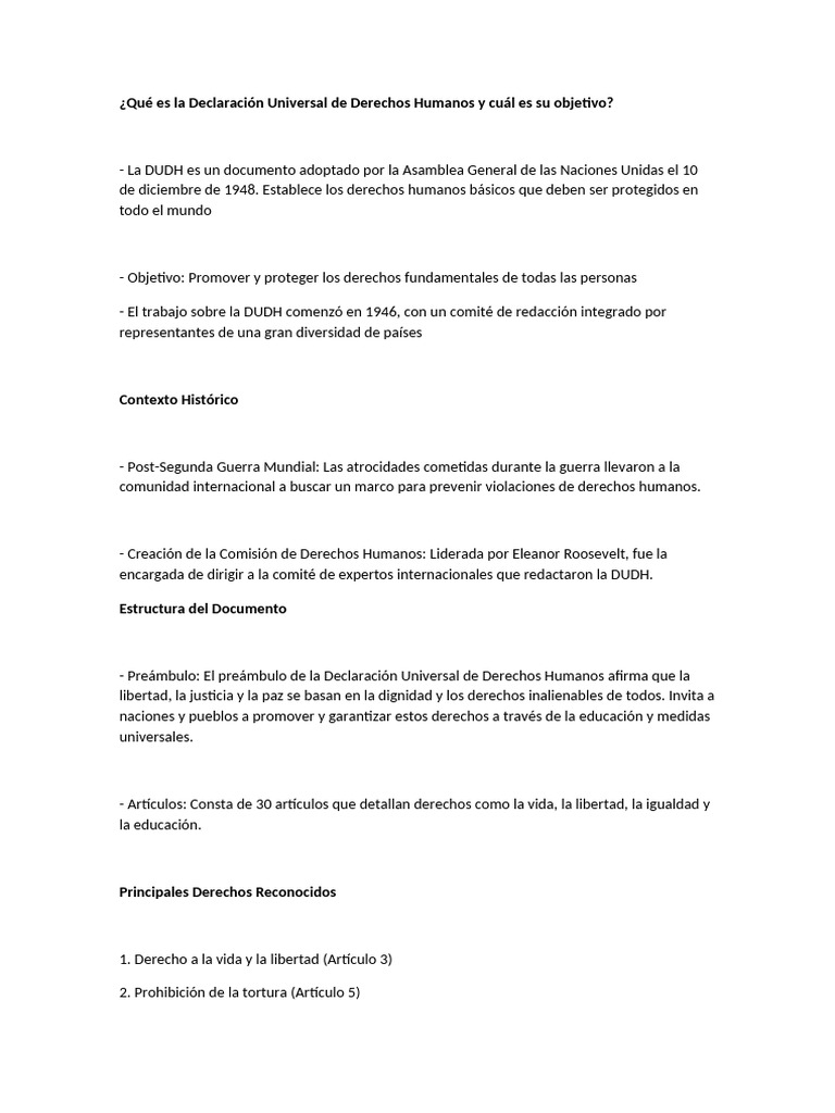 DUDH-RESUMEN | PDF