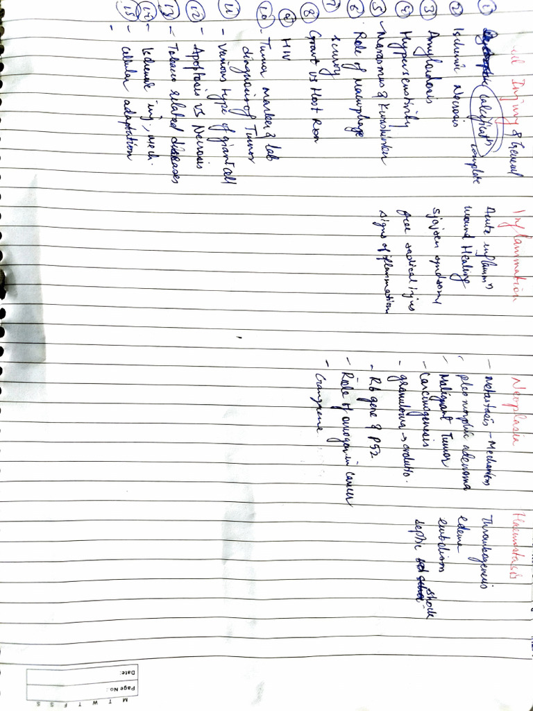 Technical Document Analysis | PDF