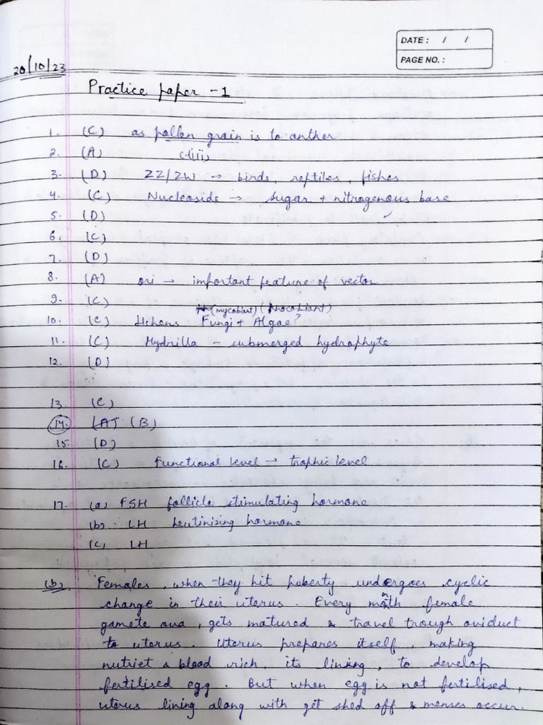 Physics Practical | PDF