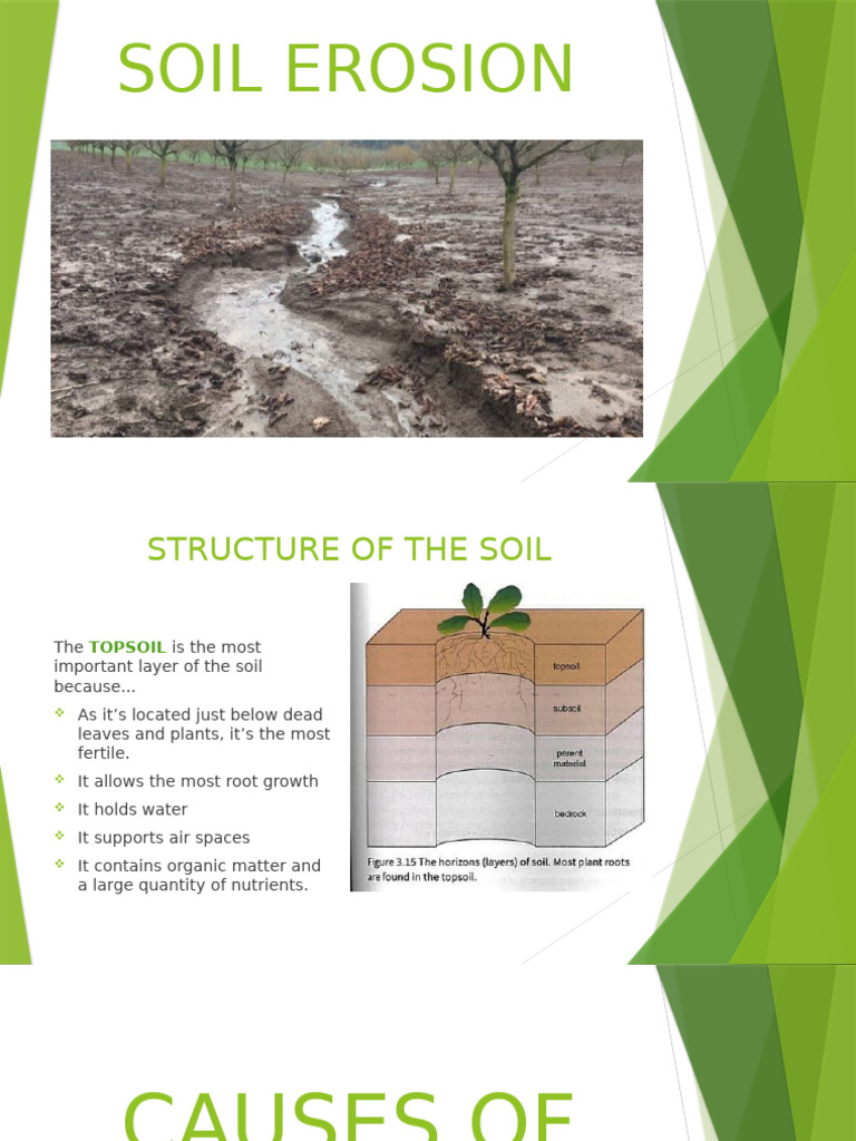 Chapter 3 - Soil Erosion | PDF | Soil | Erosion